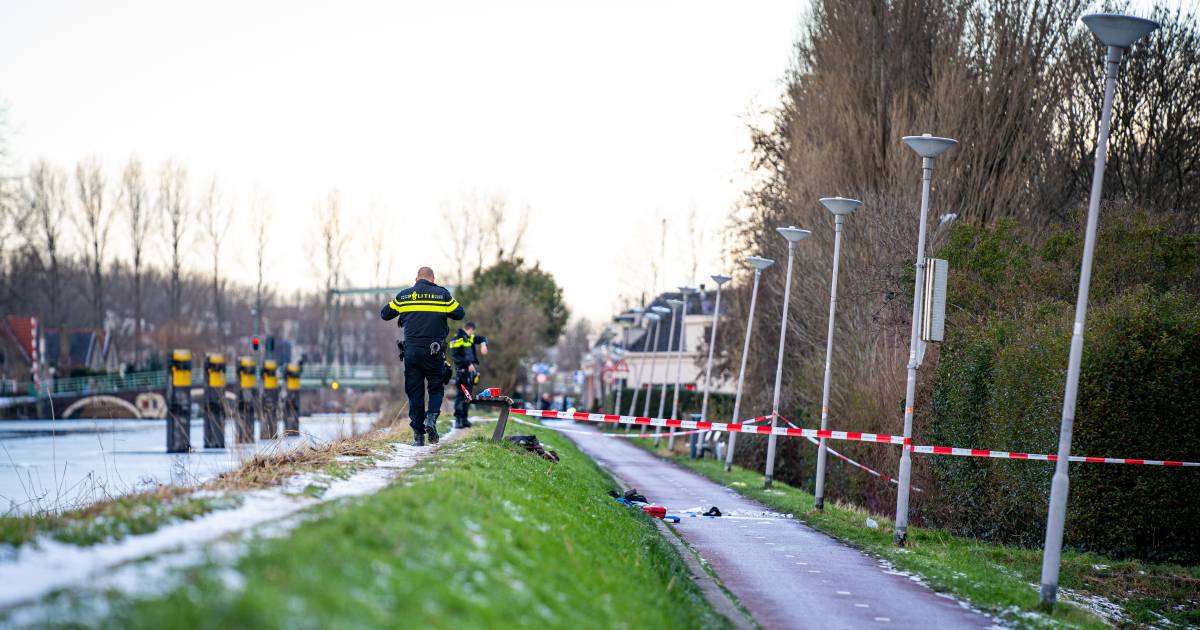 Verdachte doodsteken Leen (82) betuigt spijt: ‘Hij was fysiek en ...