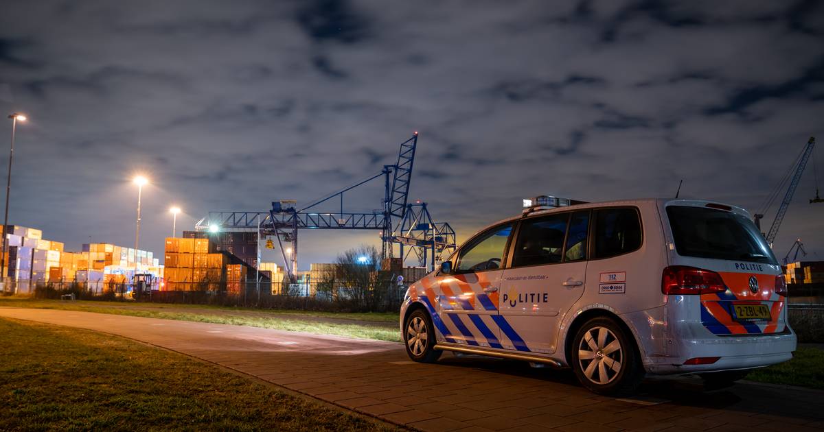 Vrachtwagenchauffeur aangehouden die container met uithalers naar ...