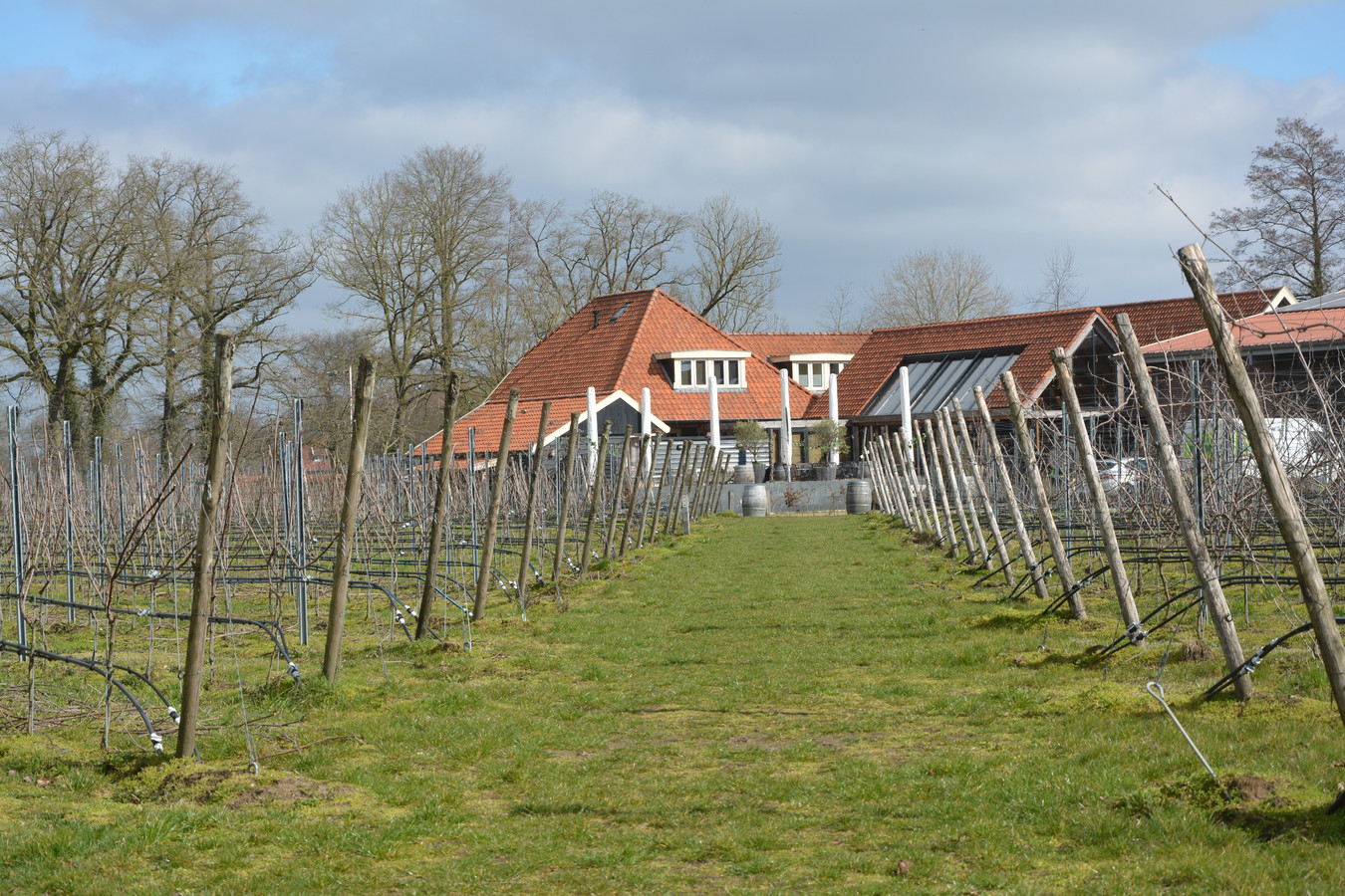 Met ‘Beuzels voetveer’ wandel je in Bentelo zo de Hagmolenbeek over ...