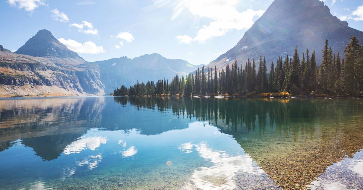 Gezin heeft genoeg van de wereld en begint nieuw leven in natuur ...