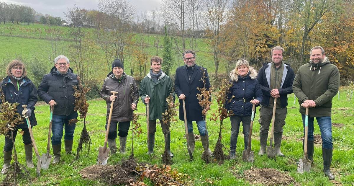 Geboortebos op Steenbeek heeft er 425 bomen en 100 struiken bij, met ...