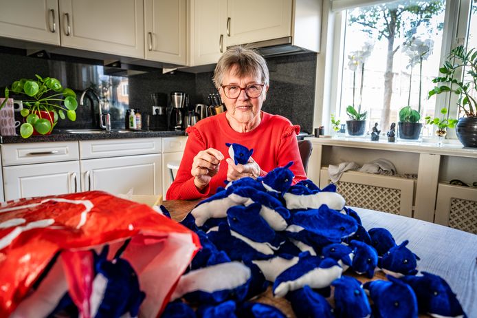 Met pijn in ‘t hart stopt ‘Oma Corrie’ (72) met beestjes maken voor ...