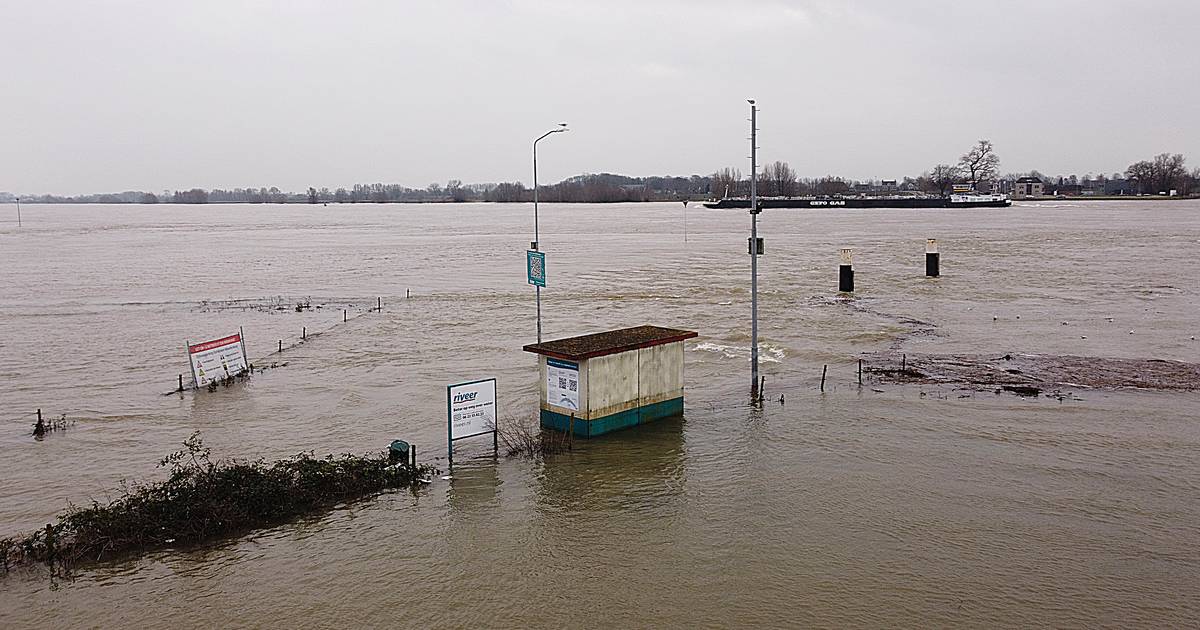 Hoog water: Extra inspectierondje langs de dijken, maar waterschap ...