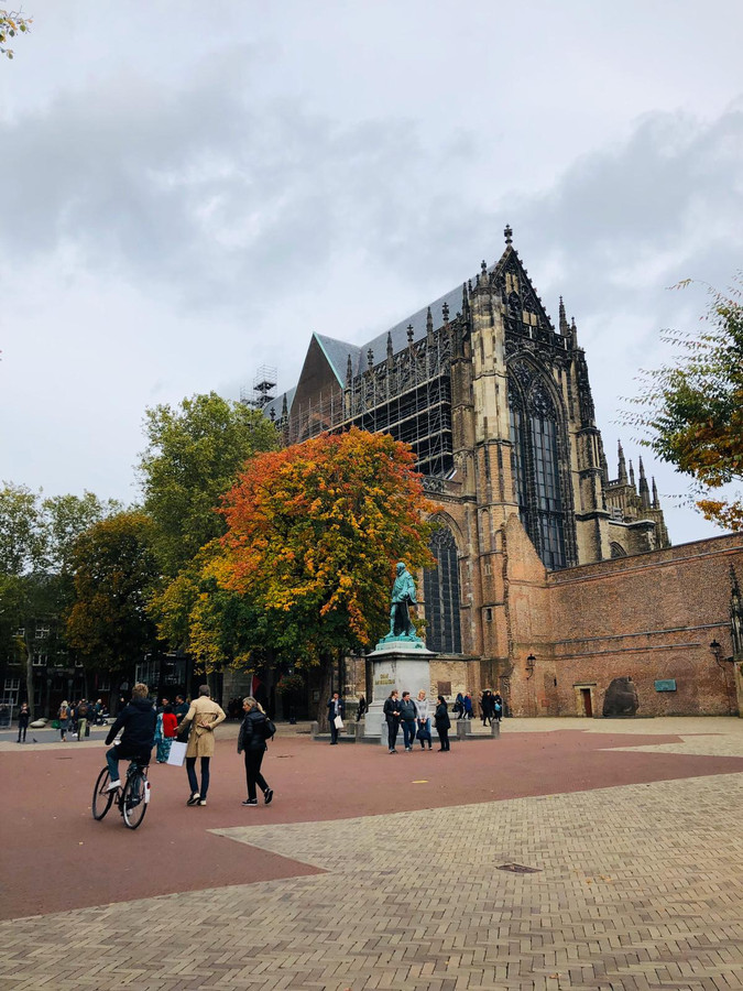Dit zijn de mooiste herfstfoto’s uit de stad en regio Utrecht | Foto ...