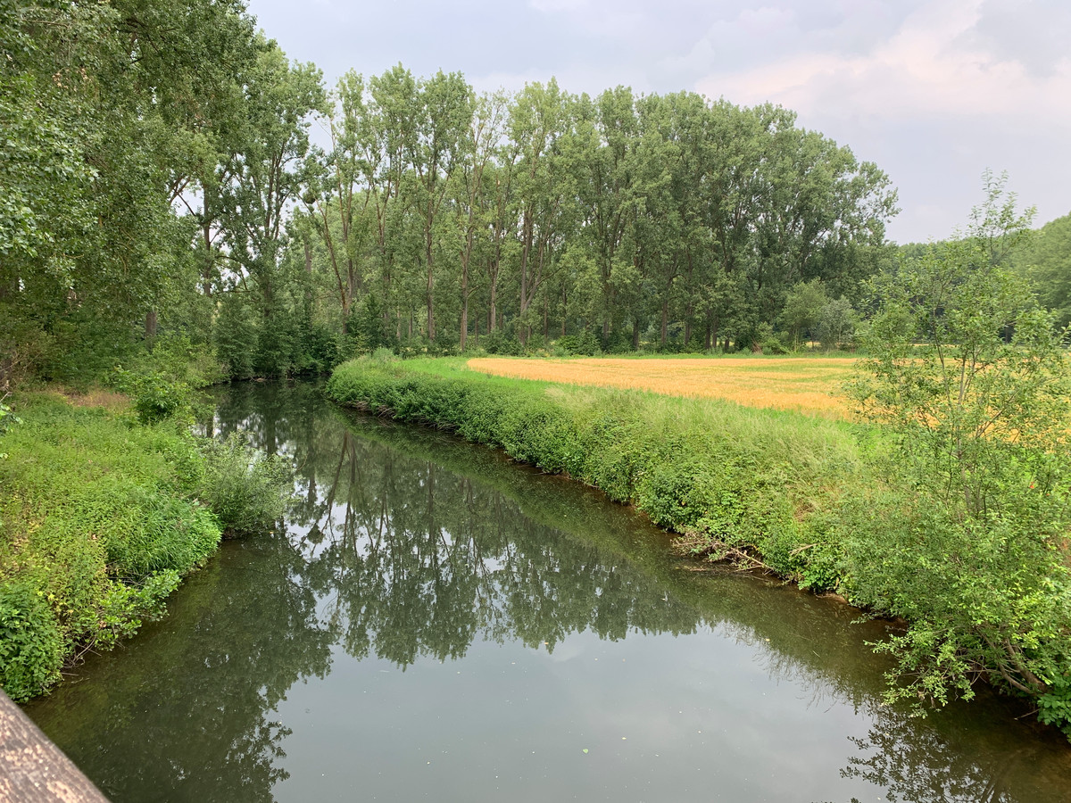 In de ban van de Zenne, duik onder in de Brusselse riolen: “Rivier ...