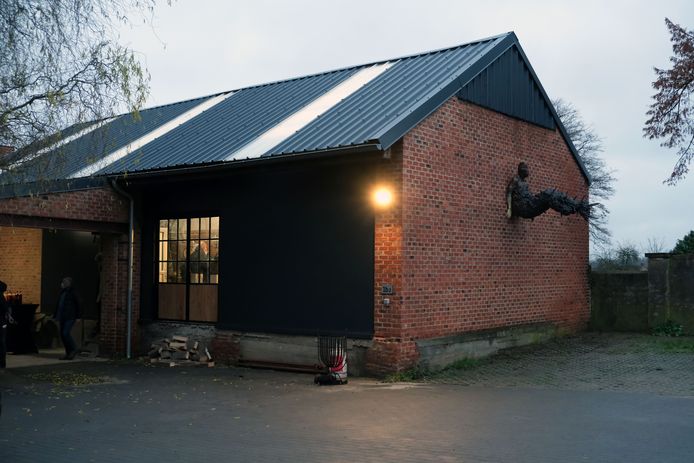 FOTOREPO Kunstenaar Dany Tulkens vindt alternatief voor Marie Thumas ...