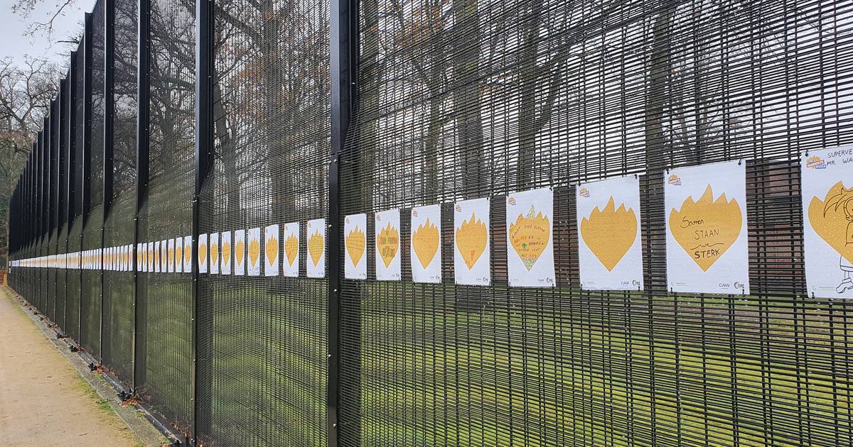 Gedetineerden en personeel gevangenis Merksplas maken ‘Wall of Light ...