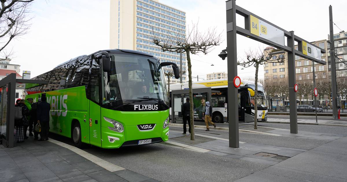 Flixbus rijdt nu ook vanuit Antwerpen naar Eindhoven | Antwerpen | hln.be