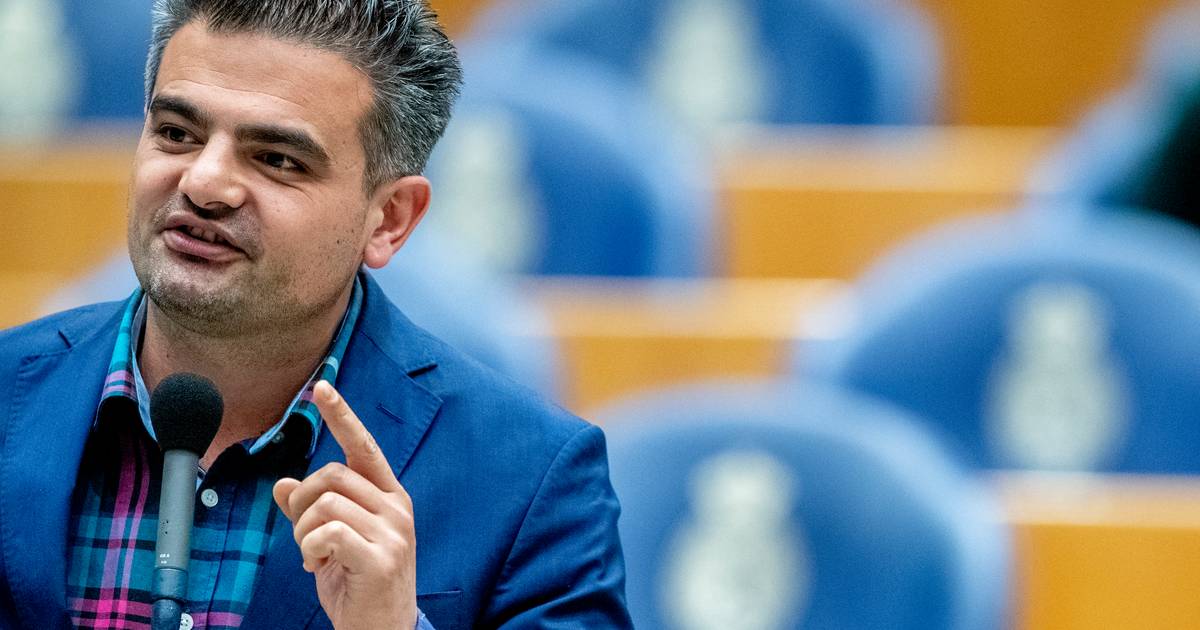 DENK en Forum voor Democratie doen mee aan provinciale verkiezingen in Overijssel | Enschede ...