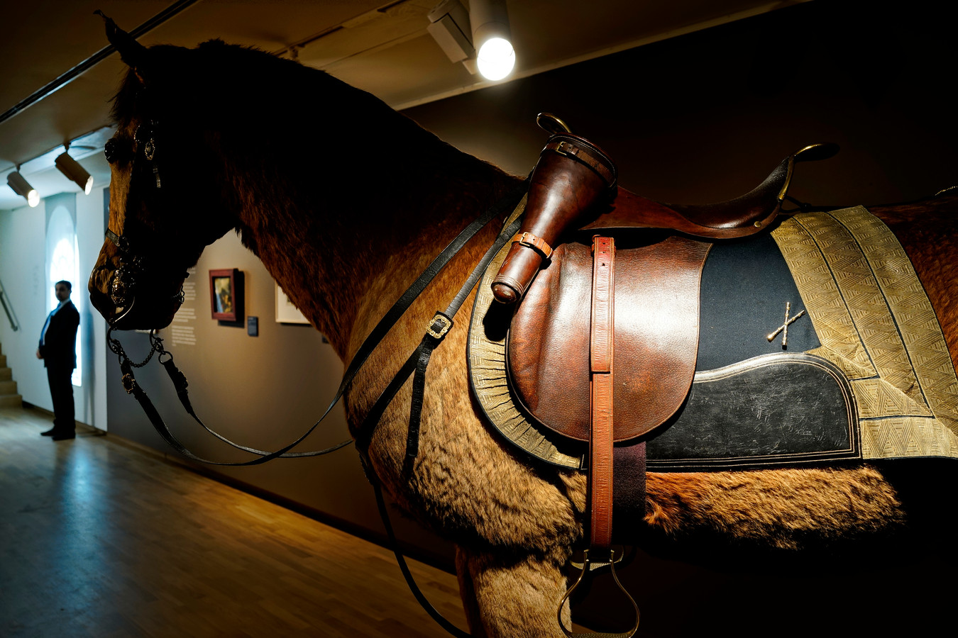 Dit is Wexy, vermoedelijk het favoriete oorlogspaard van Willem II, dat ...