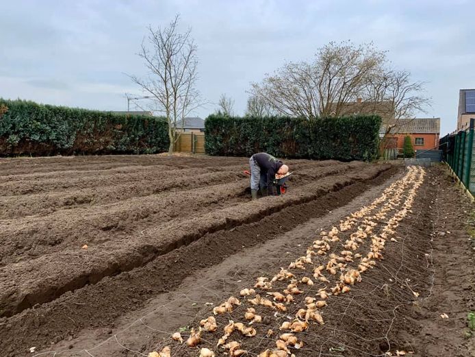 Duizenden tulpen, narcissen en anemonen: voortaan pluk je bloemen in ...