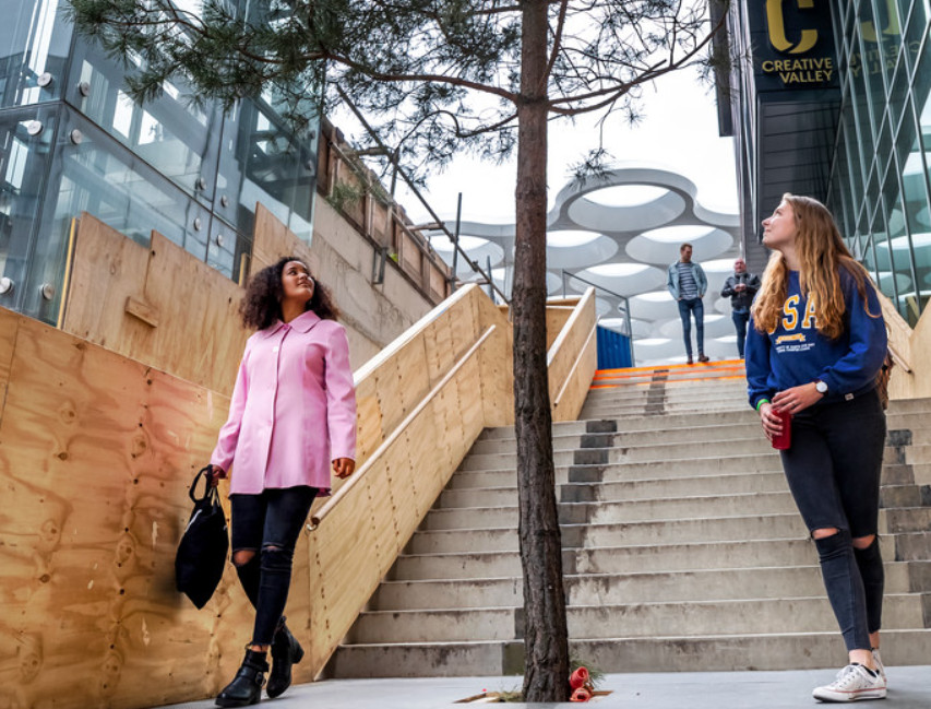 Een boom midden op de trap bij het bollendak, is daar wel over ...