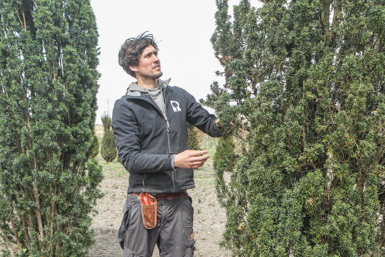 In Nazareth krijgen bomen een tweede leven in een bomenasiel: “Steeds ...