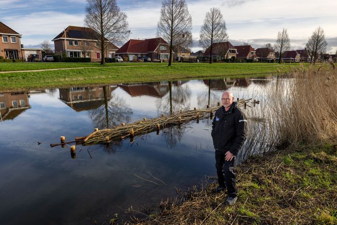 Primeur voor Flevoland: visbossen moeten sloten in Dronten redden ...