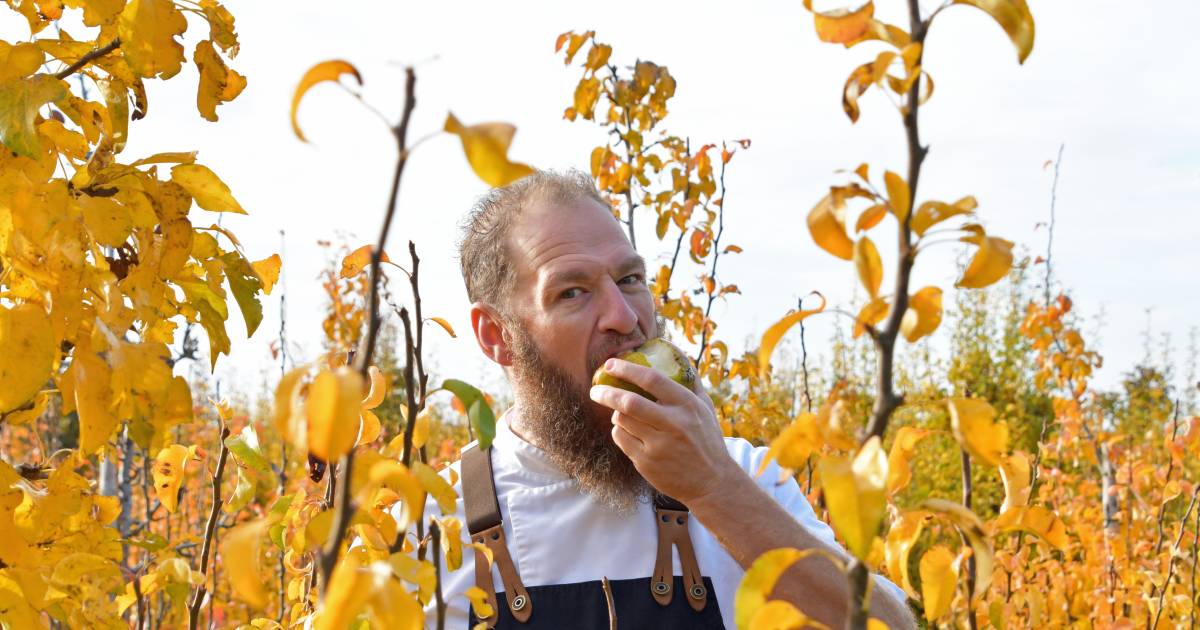 Marcin Beaufort hoeft niet meer zo nodig in de keuken te staan: ‘Ik gun ...