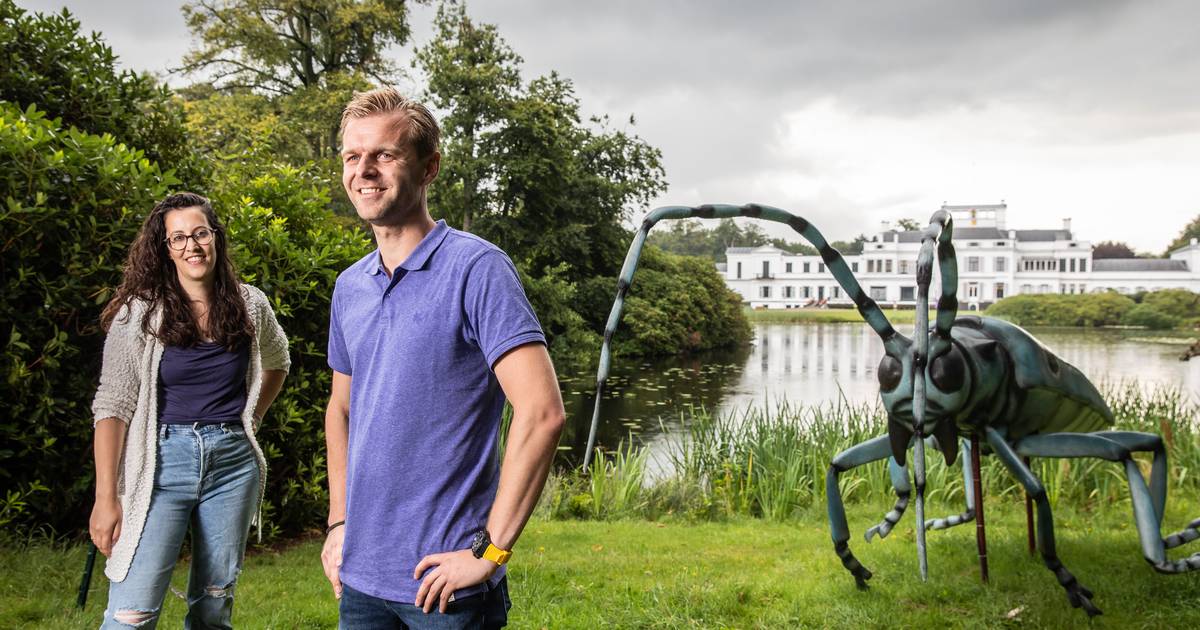 Grote ‘Twentse’ insecten staan nu in de tuin van paleis Soestdijk ...