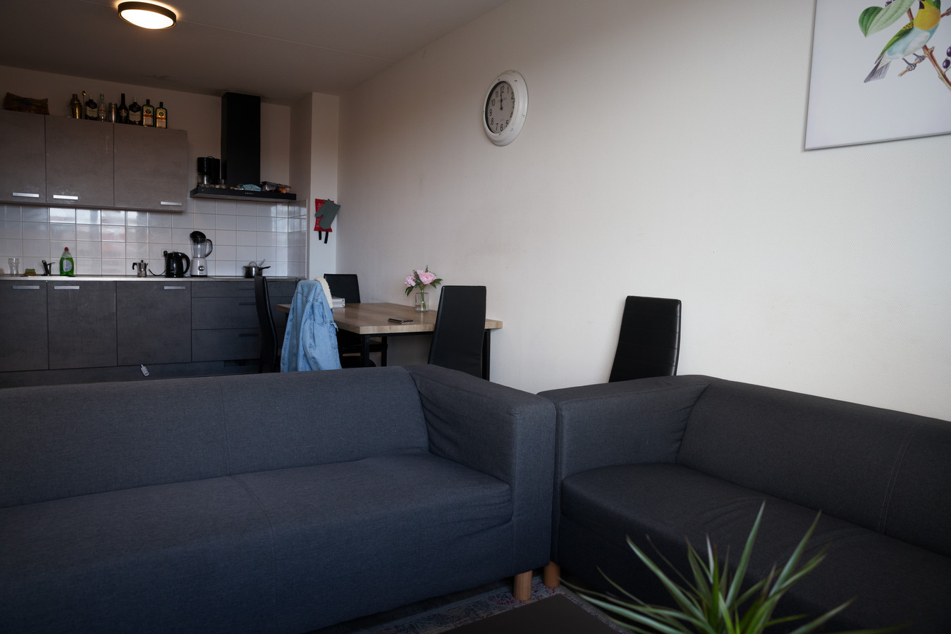 Tevredenheid alom over migrantenhuisvesting in Atik Village | Foto | AD.nl