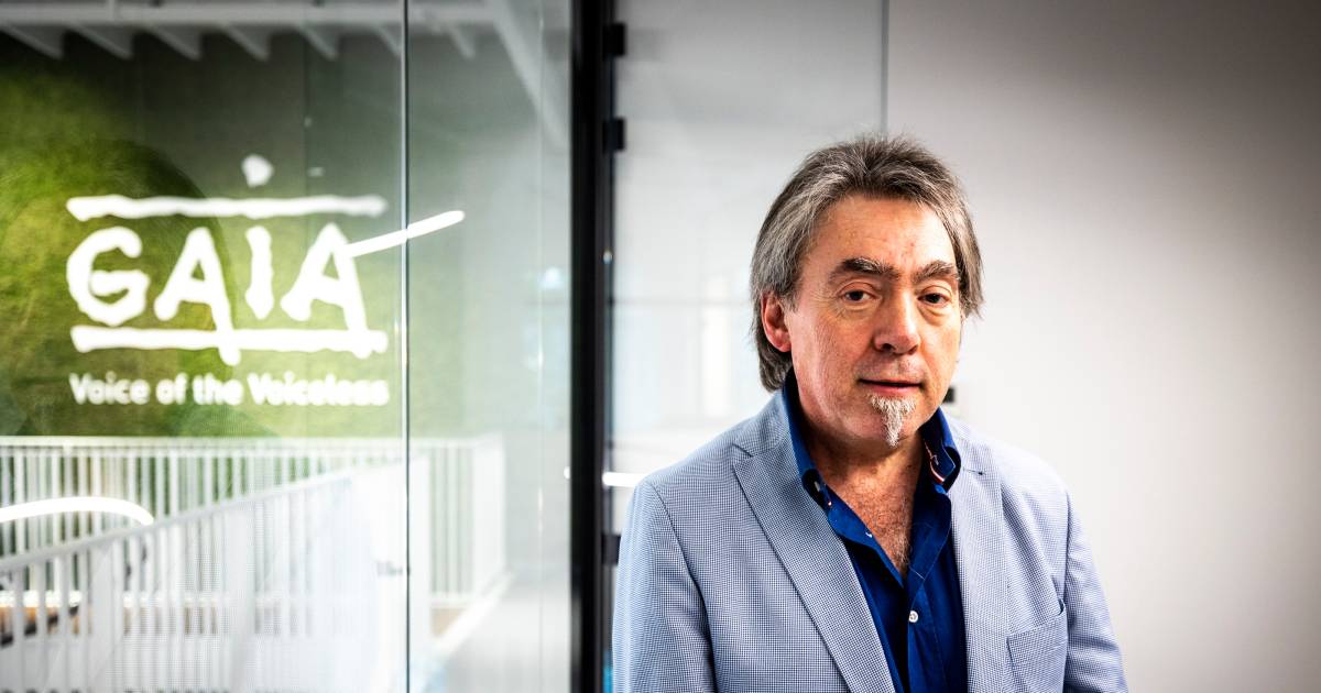 GAIA bestaat dertig jaar: “Ons grote doel blijft: niemand eet nog vlees ...