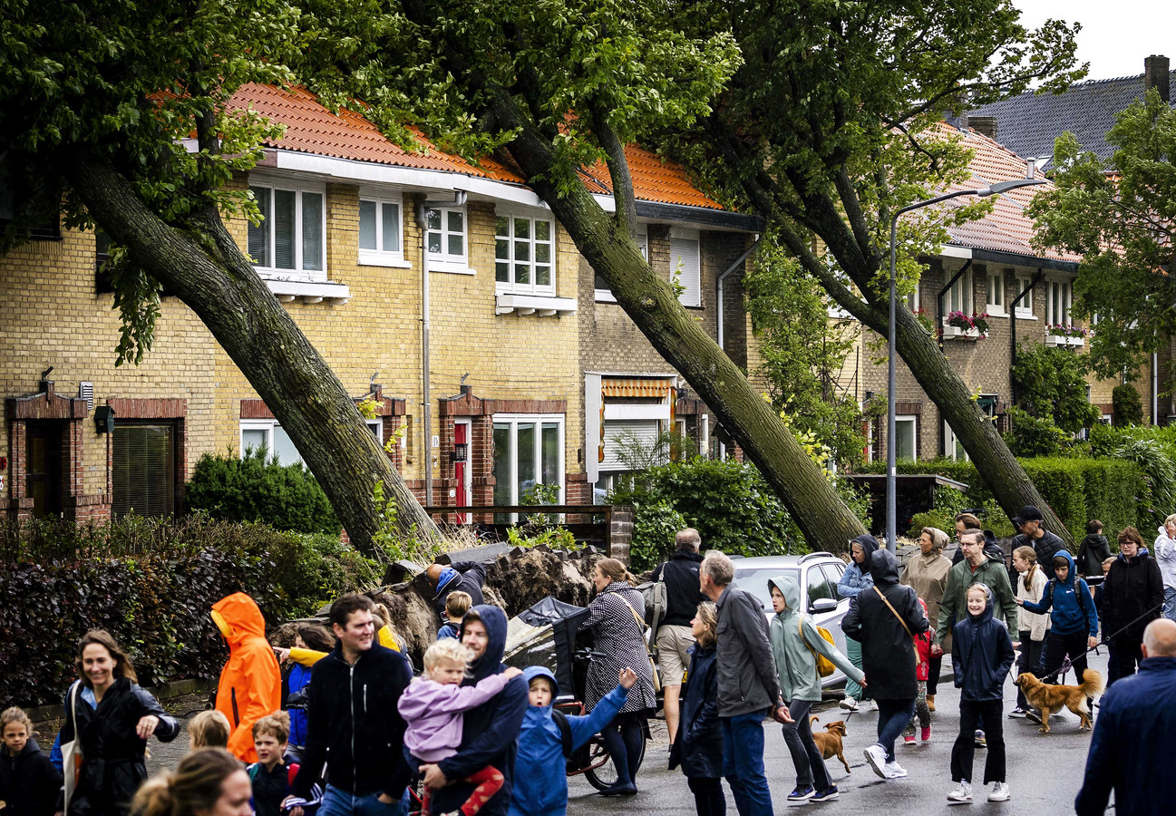 Bekijk hier de schade van zomerstorm Poly: een spoor van vernieling ...