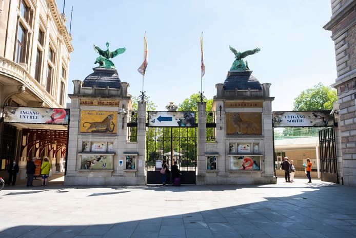 Zoo en Planckendael blijven open, maar concertreeks Zoo La La is ...