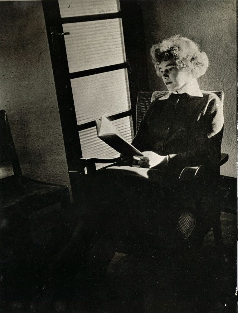 Redding of smokkel? Hoe Gerrit Komrij een stukje Ingrid Jonker uit Zuid ...