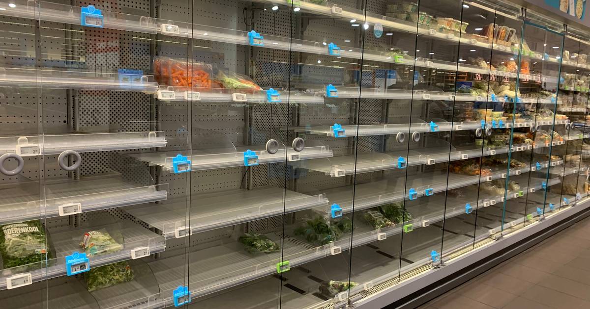 Schappen in Twentse AH-filialen blijven voorlopig leeg; spreekverbod ...