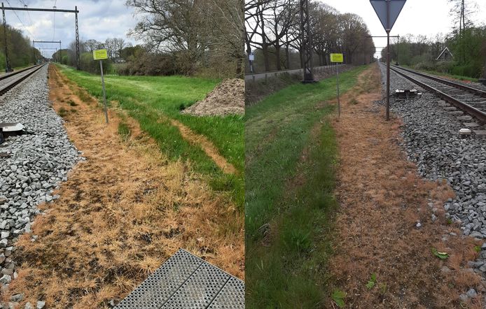 Heeft ProRail gif gespoten langs spoor tussen Deventer en Olst? Het kan ...