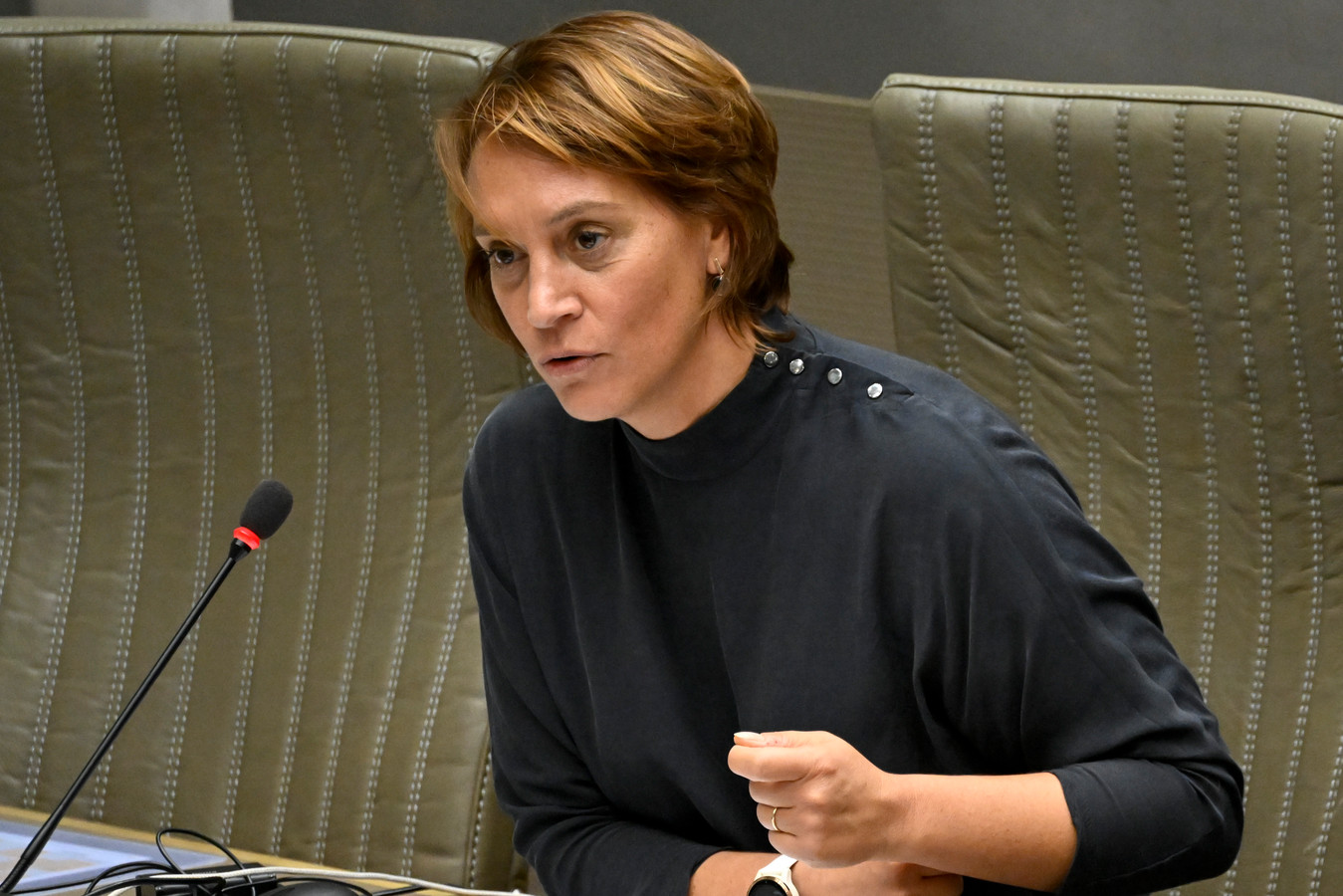 Groen-politica Elisabeth Meuleman ruilt nationale voor lokale politiek ...