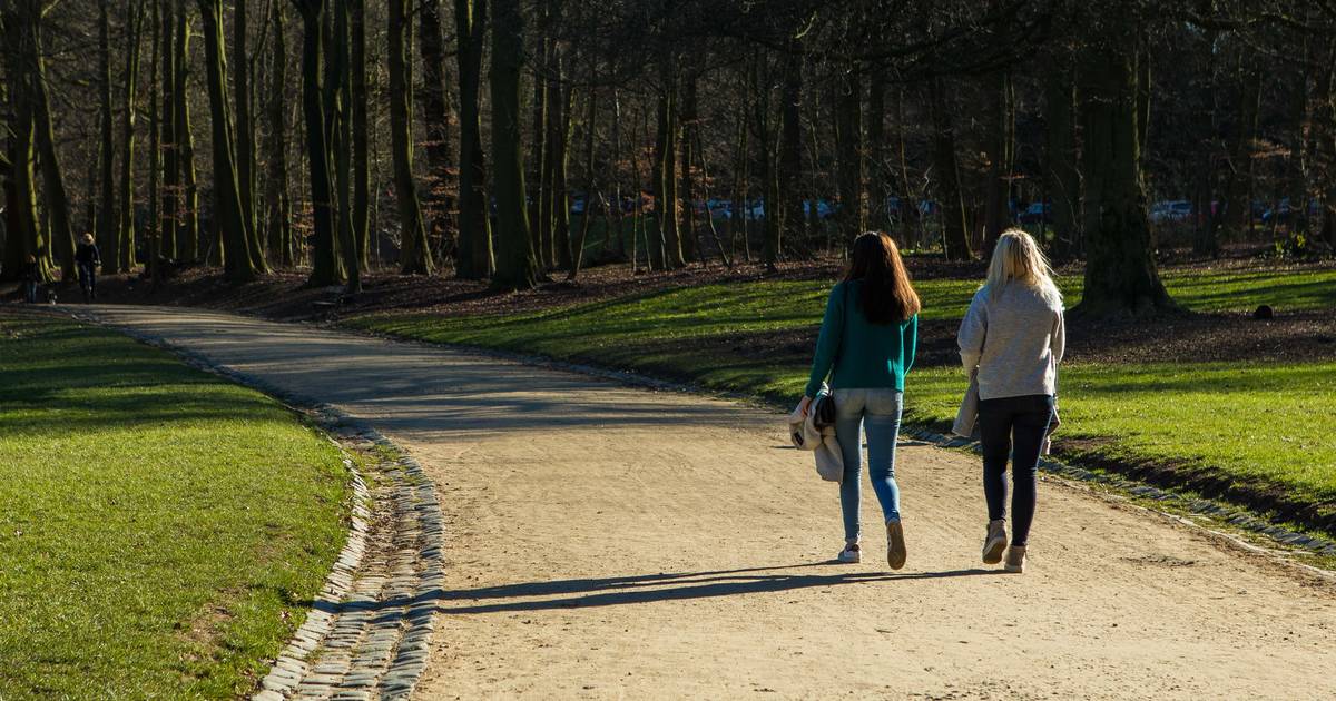 Zonnig weekend op komst met temperaturen tot 18 graden | Weernieuws ...