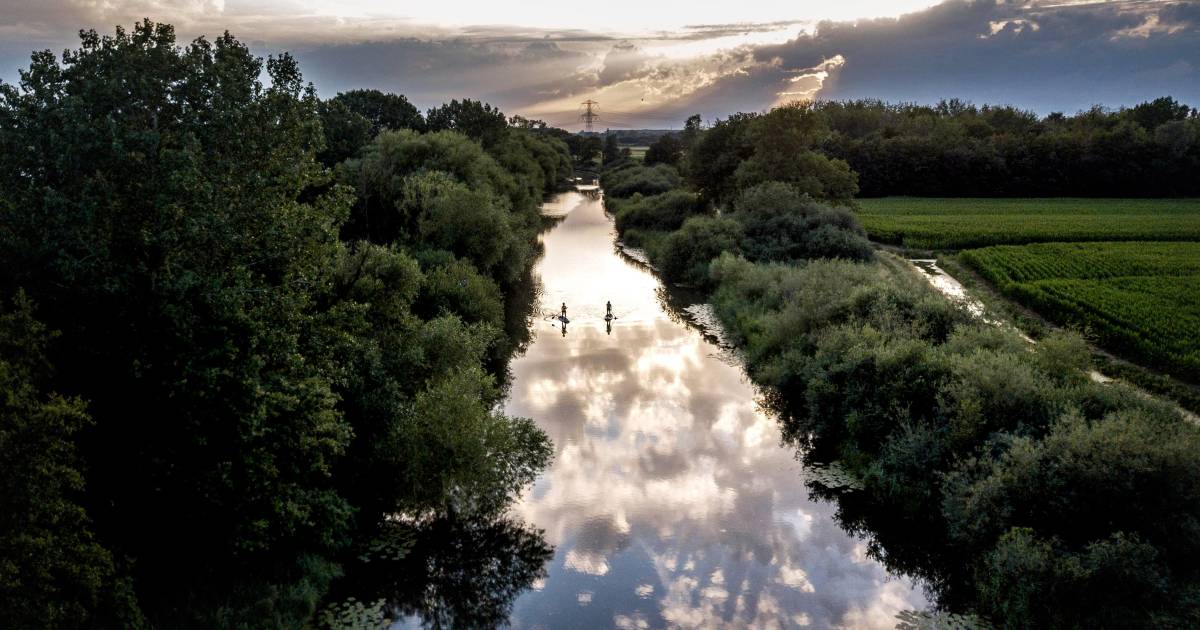Suppen op de plas of in de natuur is een nieuwe rage: ‘Lessen zitten ...