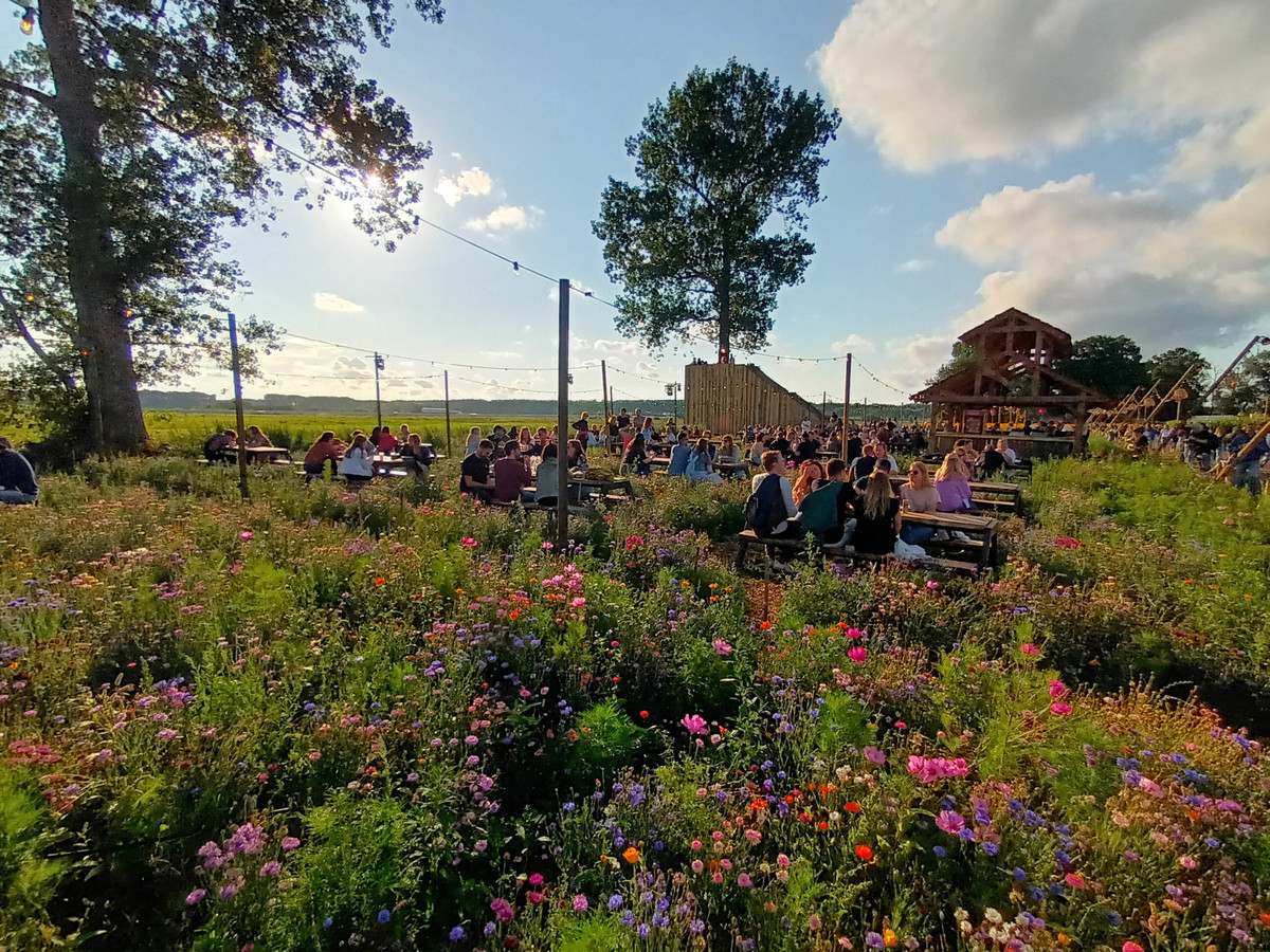 IN BEELD. Campo Solar in Damme start onder stralende zon | Foto | hln.be
