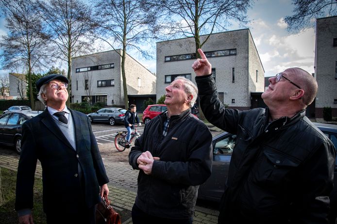 Ziekmakende bomen in Reeshof? Ook de ‘Rijdende Rechter’ komt niet ver ...