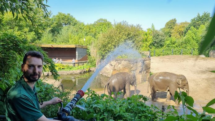 Dieren als rode draad in leven van Veghelaar Raymon die nu ...