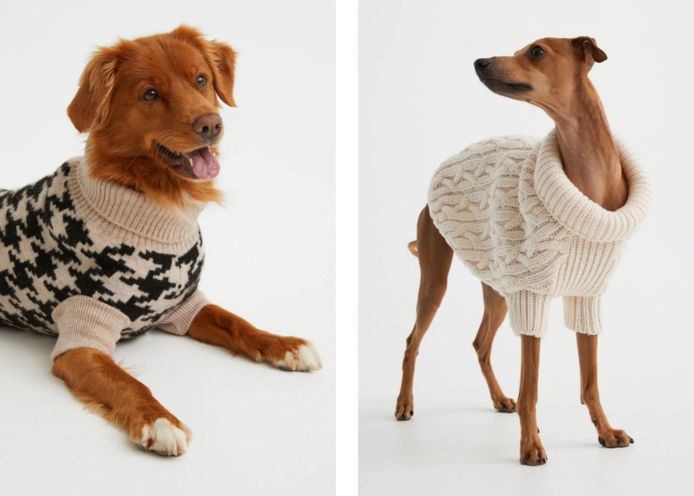 Deze collectie van H&M voor honden willen we zelf dragen (en dat kan ...