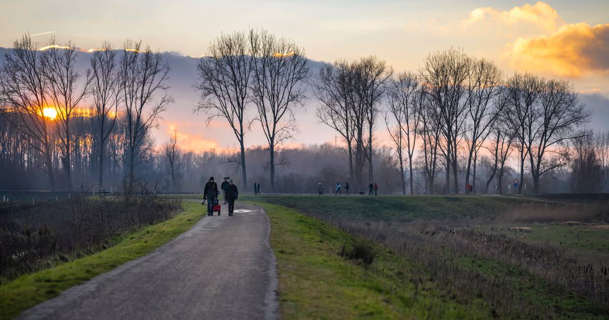 Winterwandelingen in het Neteland: van de Olense Netevallei tot het ...