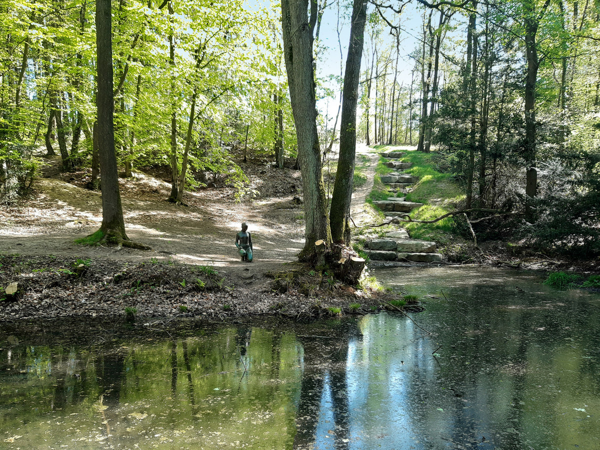Cinq nouveaux parcours entre art et nature au Musée en plein air du ...