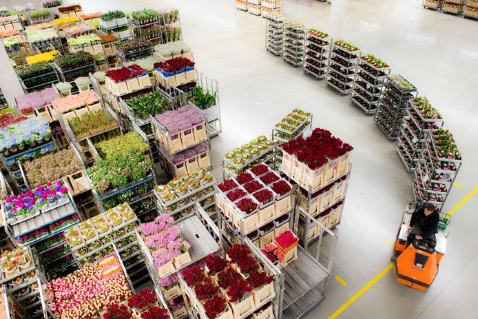 Plantion Ede maakt bescheiden winst ondanks extreem weer | Ede ...