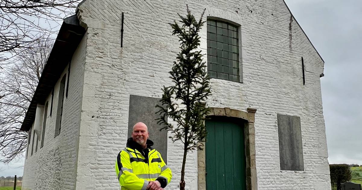 Symbolische boom op Zwalmse begraafplaatsen | Zwalm | hln.be