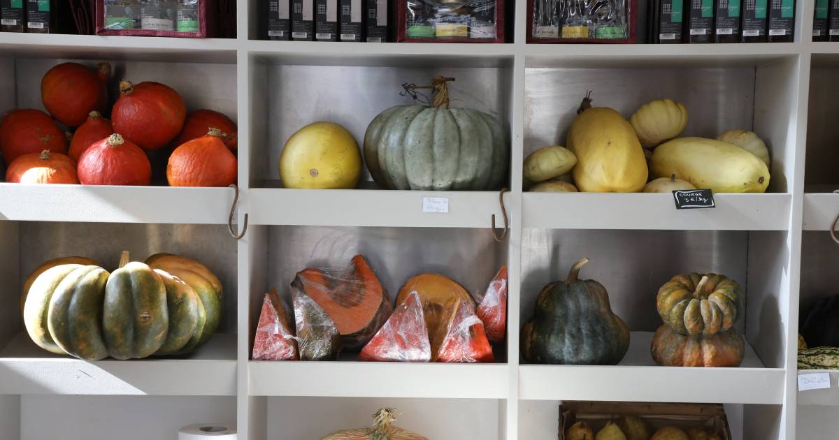 Een vervormde kalebas als voetbal | Ellen Willems | gelderlander.nl