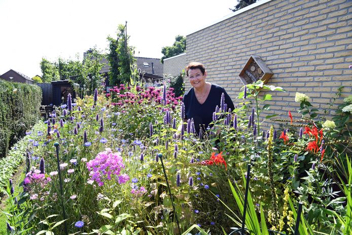 Geen Latijnse namen voor Monique van Etten: ‘deze Chinese papierplant ...