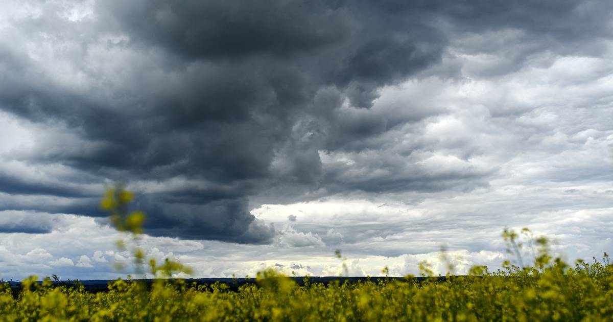 WEERBERICHT. Lichte regen en bewolking in Genk vanochtend | Genk | hln.be