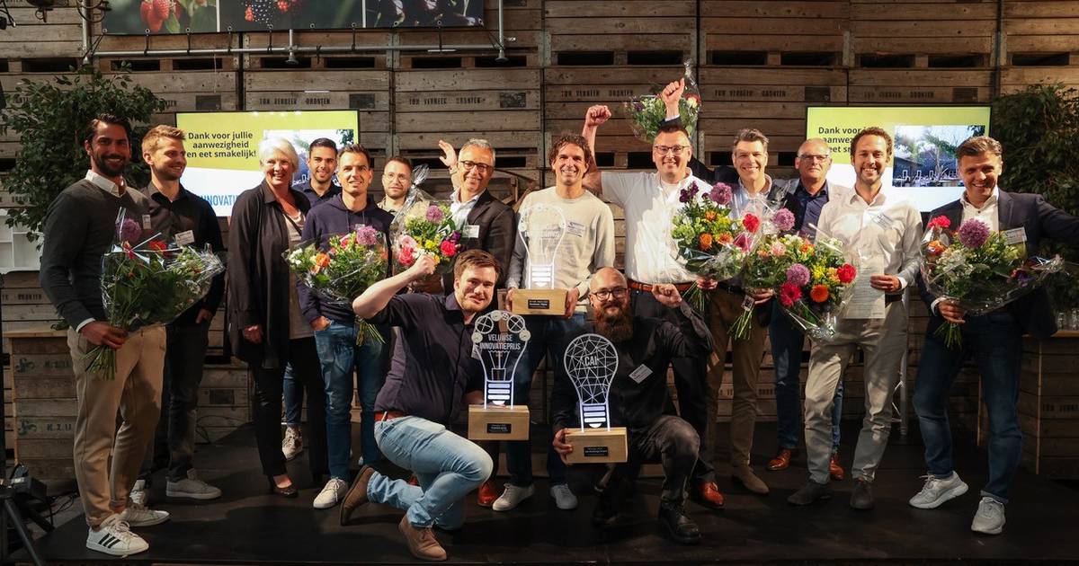 Reukema Harderwijk wint Veluwse Innovatieprijs 2023 | Veluwe | destentor.nl