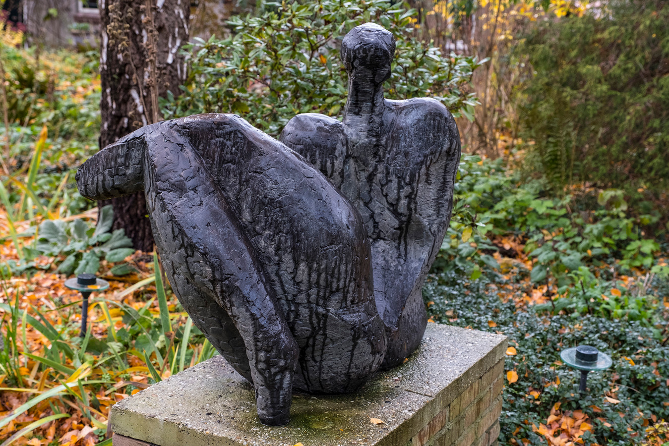 Geluk kan zitten in mooie vormen - eerbetoon aan de veelzijdige en ...