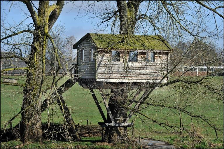 'Goed gesprek' over boomhut | Foto | gelderlander.nl