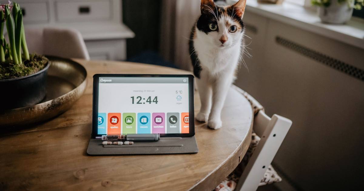 Ouderenzorg via een tablet? Waardeburgh introduceert ...