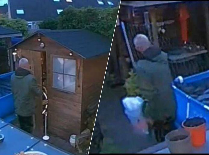 Kale man met bril die inwoners in Dordt berooft of begluurt weer op ...