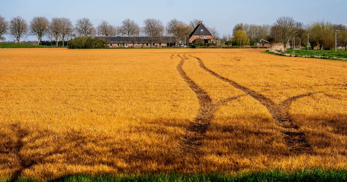 Gemeente geeft goed voorbeeld met pachtgronden | Columns Dwarskijker ...