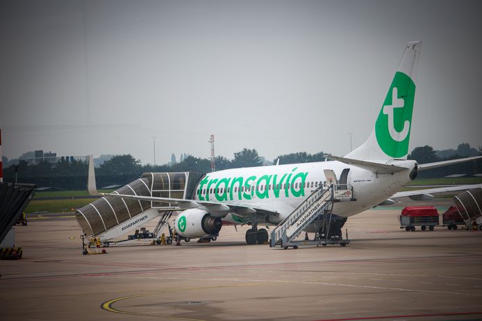 Transavia denkt na over toeslag voor handbagage aan boord | Reizen | hln.be