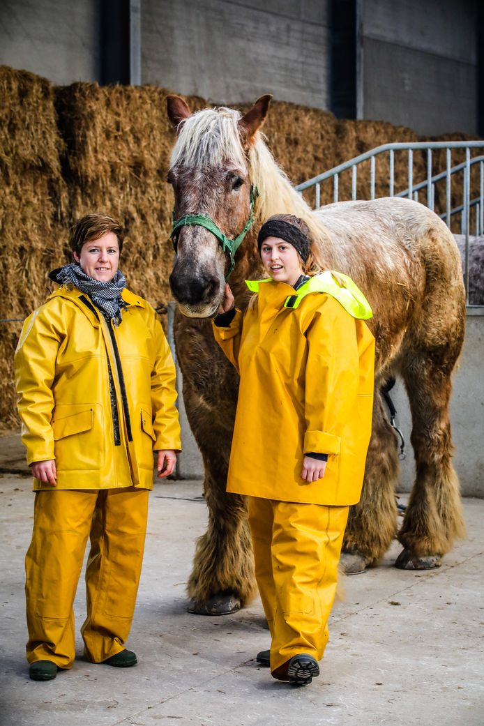Paardenvissers krijgen oranje bretellenbroek van de Orde: “Een gegeven ...