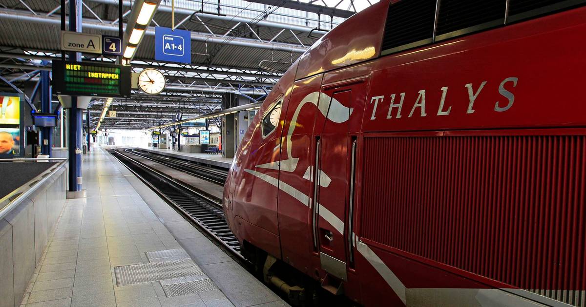 La circulation des Thalys reprendra bien le 31 mars | Belgique | 7sur7.be